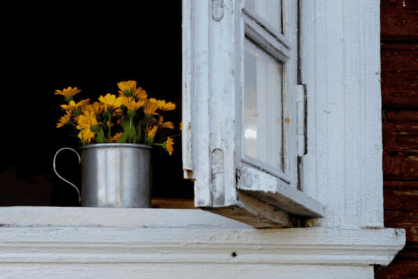 French Garden Plants | 10 Must-Have Plants for Your Chic Outdoor Space ...